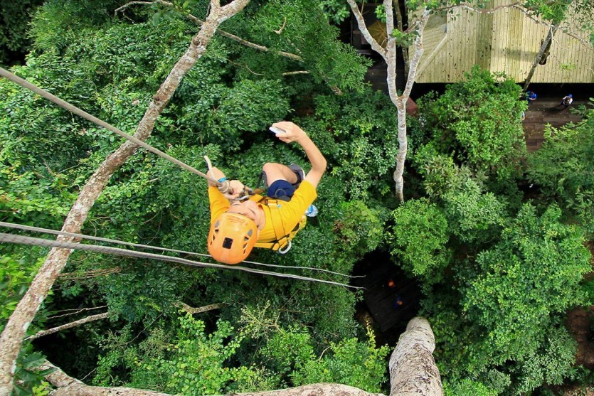 Flight of the Gibbon | Daytriptour.com